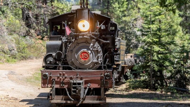 Yosemite Mountain Sugar Pine Railroad Ride with Narration - Who Will Enjoy This the Most?