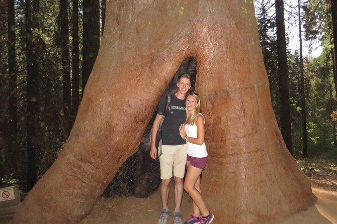Yosemite National Park 2-Day Private Tour Package Hotel Accommodation Included - Authentic Insights from Reviews