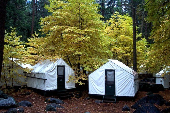 Yosemite National Park 2-Day Winter Tour from San Francisco - Key Points