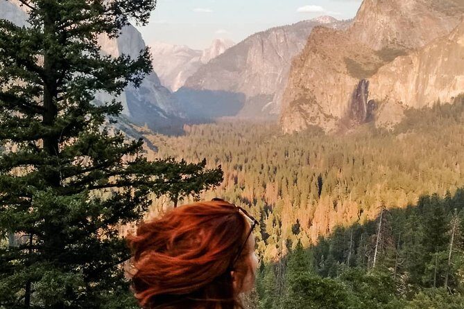 Yosemite National Park and Giant Sequoias Tour from San Jose - Final Yosemite View & Return Journey