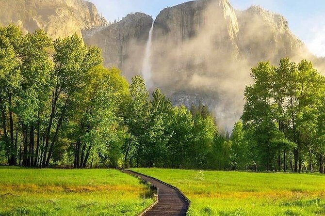Yosemite National Park and Giant Sequoias Tour from San Jose - Giant Sequoia Adventure at Tuolumne Grove