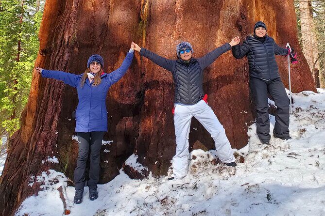 Yosemite National Park Private 1 Day Tour from San Francisco - FAQ