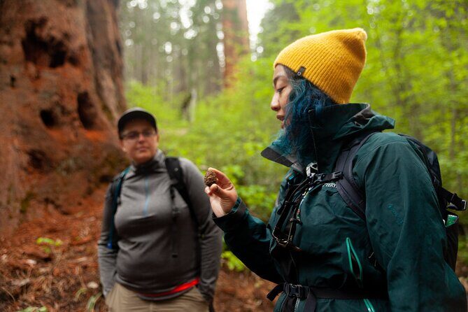Yosemite Two Day Private Tour and Hike - An In-Depth Look at the Yosemite Two-Day Private Tour