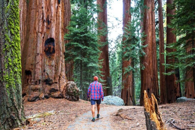 Yosemite Valley 3-Day Camping Adventure - Who Should Consider This Tour?