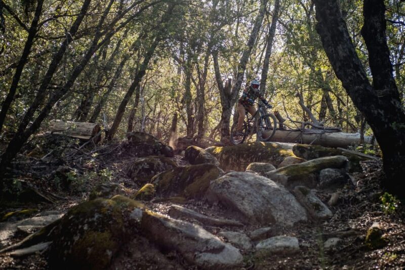 Yosemite Valley Area: Standard Bike Rental - Authentic Feedback from Riders