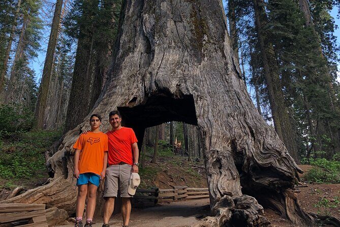 Yosemite Valley Discovery Walk - Frequently Asked Questions