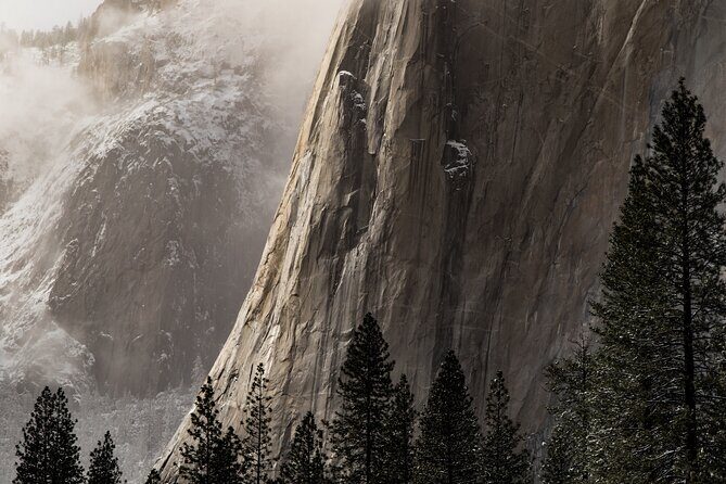 Yosemite Valley Private Winter Hiking Tour - Authentic Reviews from Past Participants