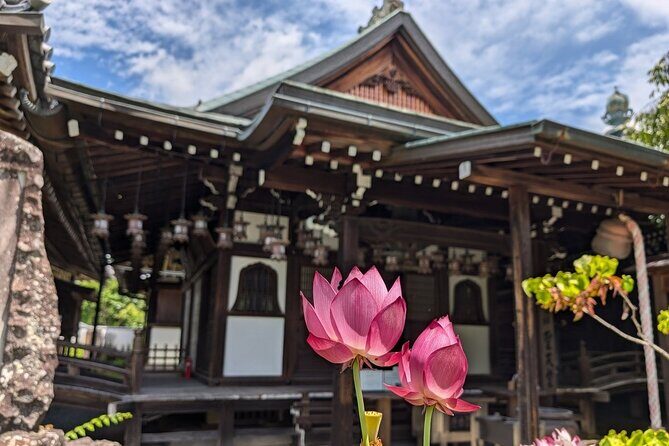 Yoshinoyama : the Roots of Shugendo Spirituality - Practicalities and Value