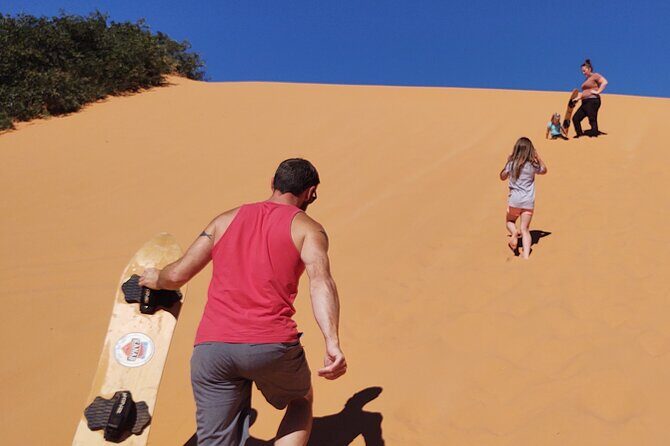 YOU DRIVE!! 5 Hr UTV Tour Pictograph Panel, Sand Boarding & More - The Sum Up: Who Is This Tour For?