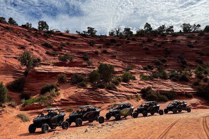 YOU DRIVE!! Rap & Ride - A Full Day of Rappelling and UTVs - What Makes “YOU DRIVE!! Rap & Ride” Stand Out?