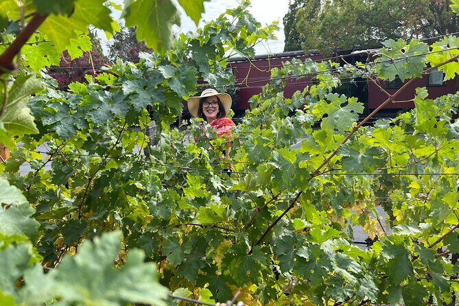 Yountville Food and Wine Tour in Napa - Final Pairing at Van De Leur Park
