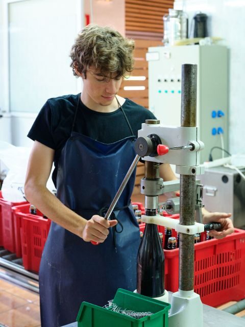 Your Cava, Your Story  Wine workshop experience at Artcava - Who Will Love This Experience?