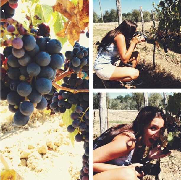 YOUR HONEYMOON IN TUSCANY: Private Chianti Wine Tasting Tour - Key Points