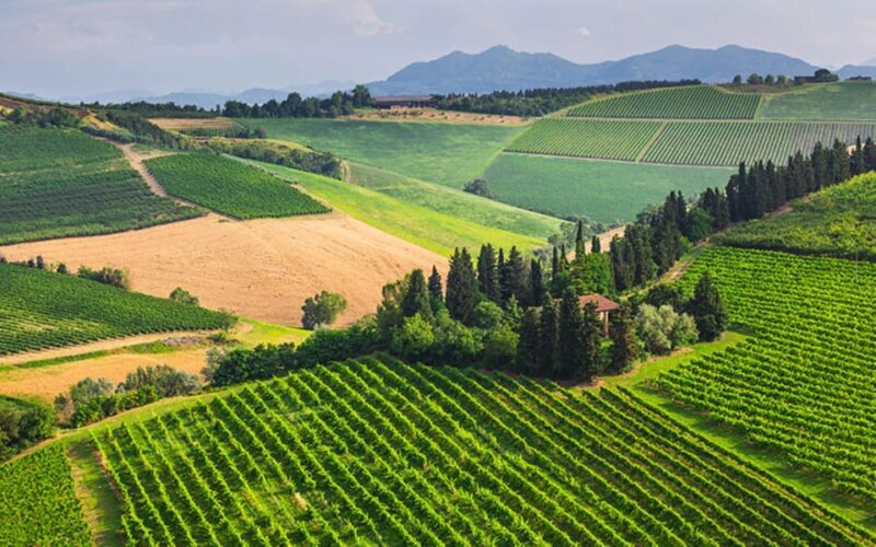 YOUR HONEYMOON IN TUSCANY: Private Chianti Wine Tasting Tour - Itinerary Breakdown: What Makes Each Stop Special