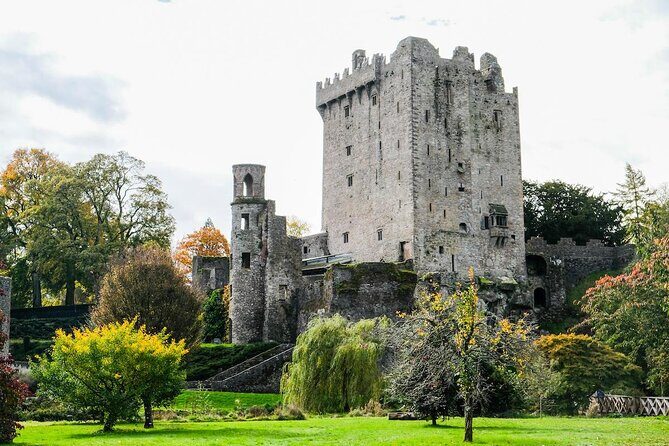 Your Irish Tour Blarney and Cork Private Day Tour - A Detailed Look at the Itinerary