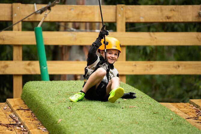Your Little Ones Can Soar Through the Pines of Kuitpo Forest - Key Points