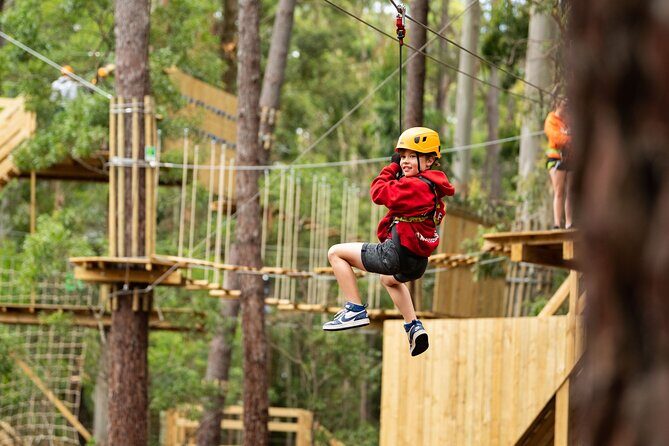 Your Little Ones Can Soar Through the Pines of Kuitpo Forest - An In-Depth Look at the Kuitpo Forest Adventure