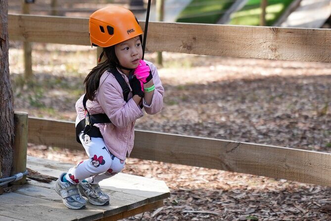 Your Little Ones Can Soar Through the Pines of Kuitpo Forest - Final Thoughts: Is This Adventure Worth It?