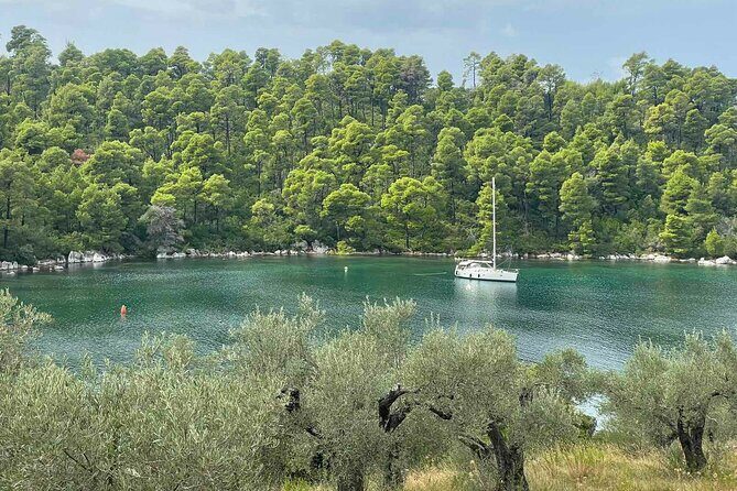 Your Mamma Mia Adventure on Skopelos Island - Who Will Enjoy This Tour?