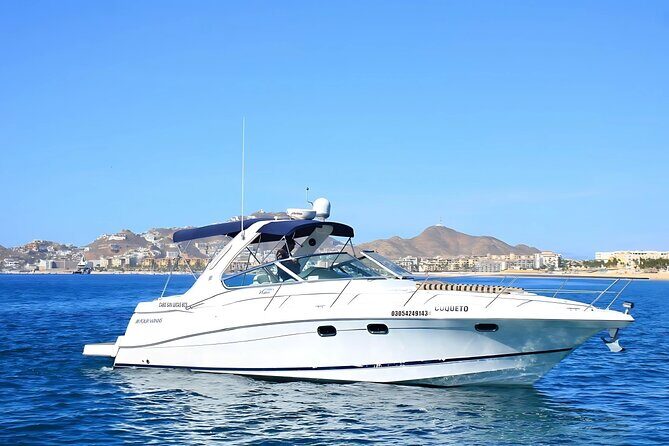Your Own Private Yacht in Cabo  Snorkeling, Crew & Coastal Views - Possible Drawbacks or Considerations