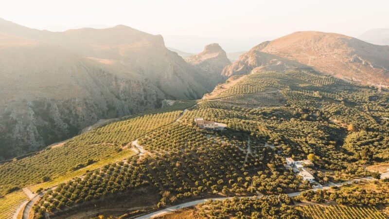 Your Tailored Elafonisi Escape. Luxury Day Tour from Chania. - Is It Worth the Price?