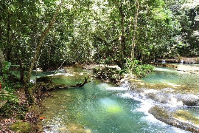 YS Falls and Appleton Estate Private Rum Tour - The Sum Up