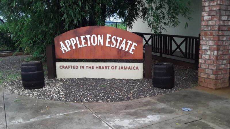Ys Falls and Appleton Estate Private Tour - Key Points