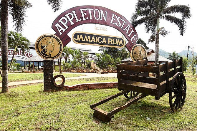 YS Falls and Appleton Rum Tour Adventure Tour from Montego Bay - An In-Depth Look at the Tour Experience