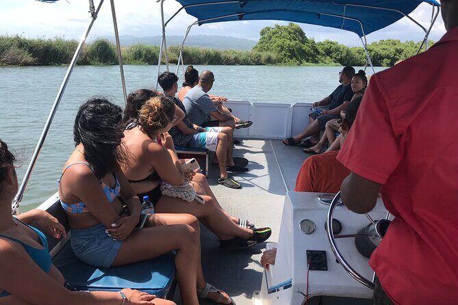 YS Falls and Black River Safari Including Pelican Bar Tour - Black River Safari: Wildlife and Nature Close-Ups