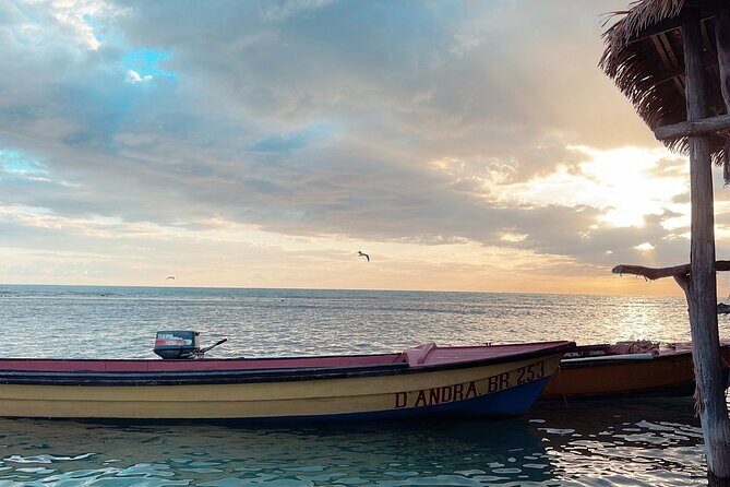 YS Falls and Black River Safari Including Pelican Bar Tour - Final Thoughts: Who Should Consider This Tour?