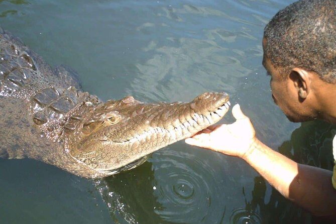 Ys Falls and Black River Safari Private Tour - Who Should Consider This Tour?