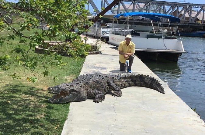 YS Falls and Black River Safari South Coast from Negril Jamaica - FAQs