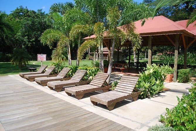 YS Falls and Floyds Pelican Bar - What Makes This Tour Stand Out?