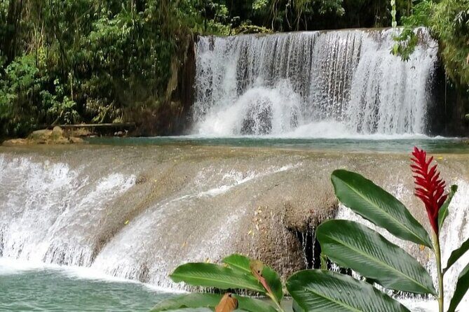 YS Falls and Pelican Bar - What Makes This Tour Stand Out?