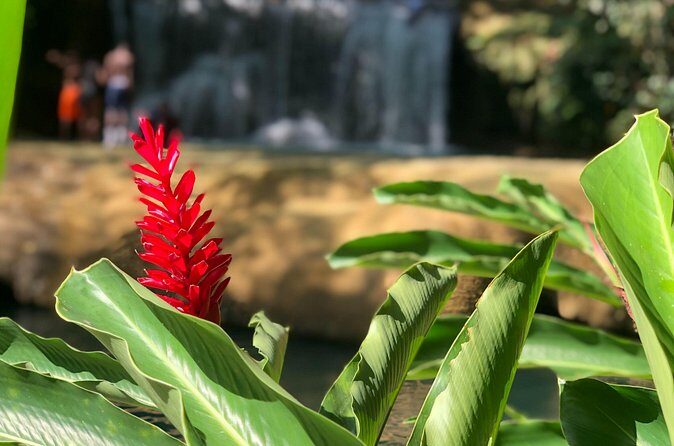 Ys falls - Who Is This Tour Best For?