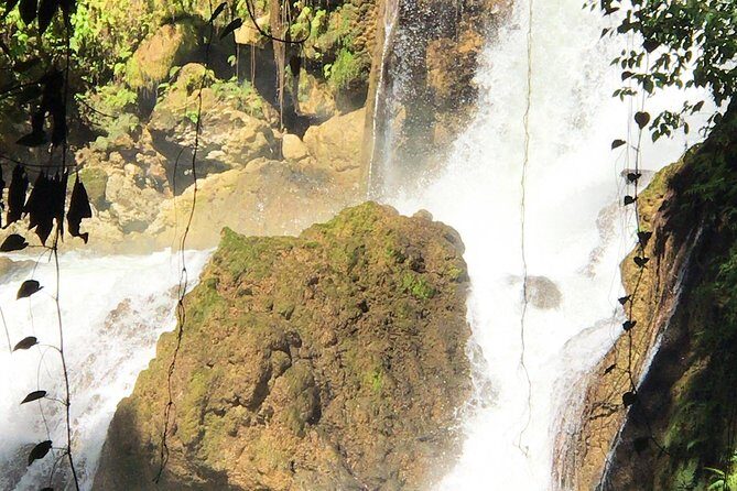 Ys Falls, Floyds Pelican Bar, Black River Safari - Floyds Pelican Bar: A Unique Coastal Experience