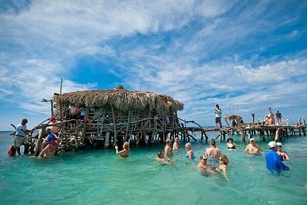YS Falls, Pelican Bar, Horseback Ride/Swim Combo Tour with Lunch - What We Love About This Tour