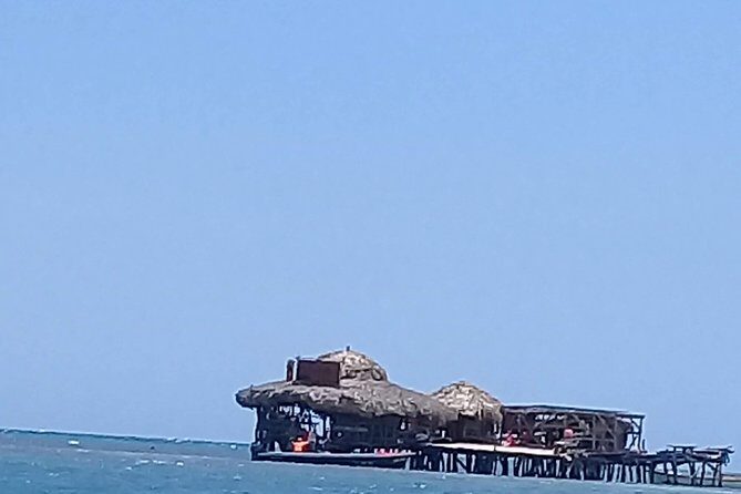 YS Falls & Pelican Bar Tour - Who Would Love This Tour?