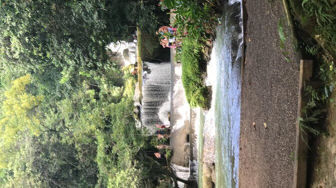 YS Falls Private Full-Day Adventure Tour with Pickup - Key Points