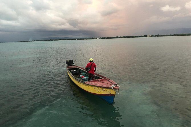 YS Falls Private Full-Day Adventure Tour with Pickup - Value and Practical Tips