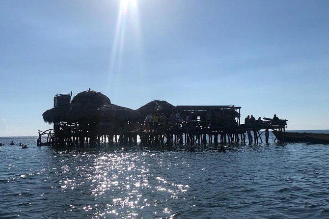 YS Falls Private Full-Day Adventure Tour with Pickup - The Sum Up