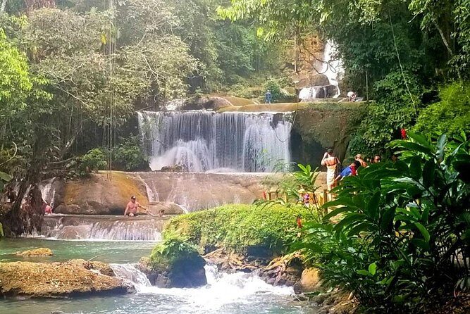 YS Falls Private Tour - Key Points