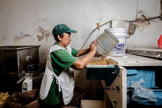 Yucatán Flavours Food Tour with 15+ Tastings - A Detailed Look at the Mérida Food Tour