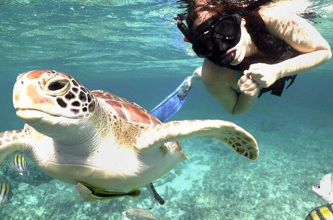 Yucatan Peninsula Full-Day Private Tour: Akumal, Tulum Ruins and Cenote Swim - Introduction: A Comprehensive Yucatán Day Trip