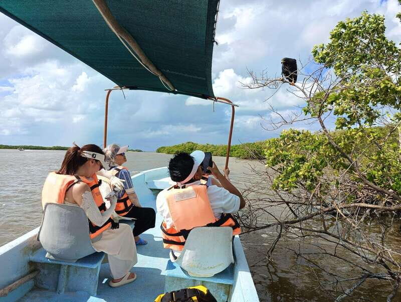 Yucatán: Río Lagartos Biosphere Reserve Boat Tour - The Natural Splendor of Río Lagartos