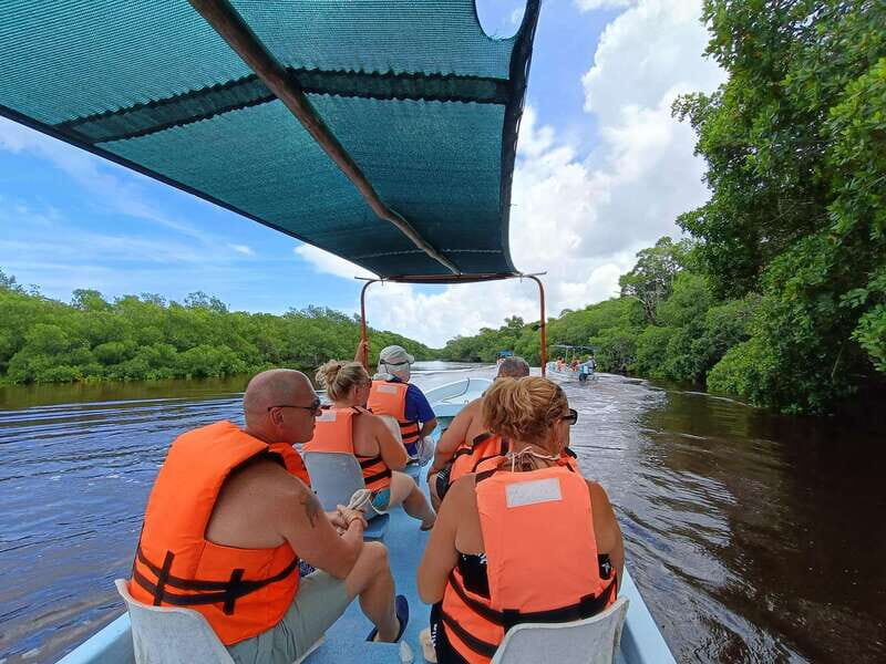 Yucatán: Río Lagartos Biosphere Reserve Boat Tour - The Sum Up