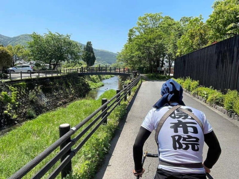 Yufuin: Hot Springs, Nature & Art - Private guided day tour - Key Points