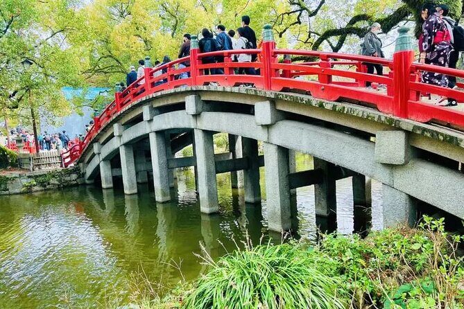 Yufuin Kinrin Lake Sea Hell Hot Springs Kyushu Zoo from Fukuoka - Transportation and Timing: Why It Matters