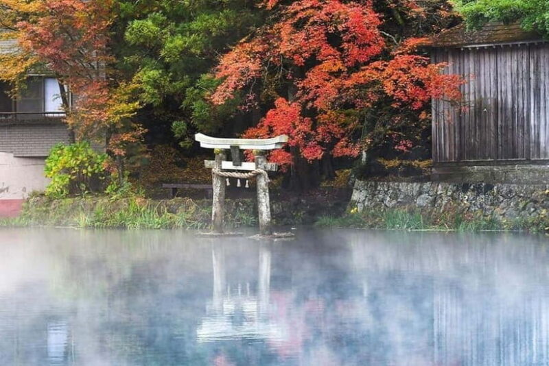 Yufuin: Onsen Wellness & Culinary Delights Guided Tour - Key Points