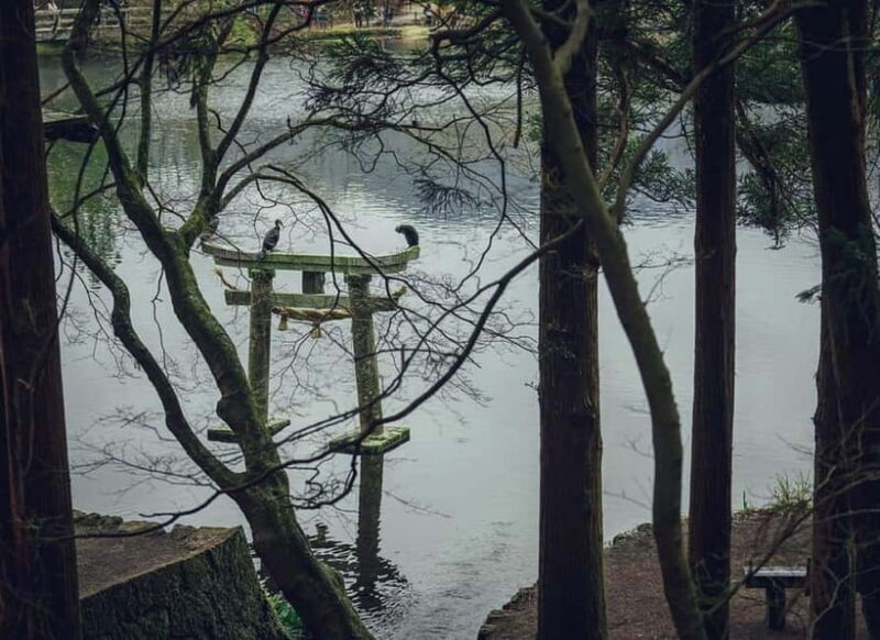 Yufuin: Onsen Wellness & Culinary Delights Guided Tour - A Closer Look at the Yufuin Guided Tour